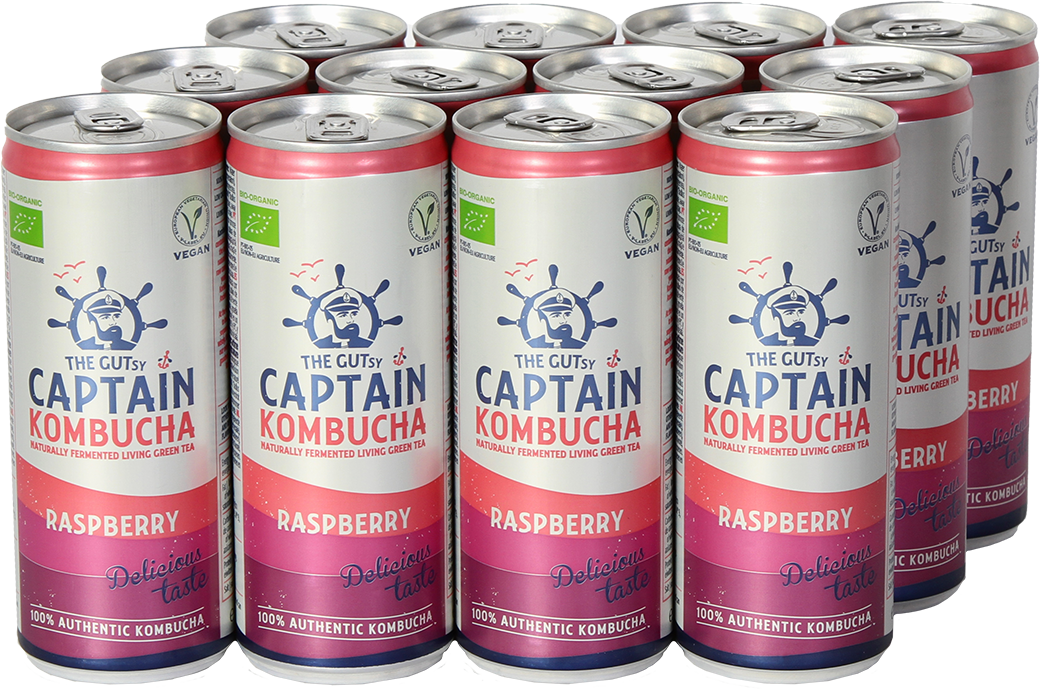 The Gutsy Captain Kombucha Can Raspberry (12 x 250 ml) – Supspace NL