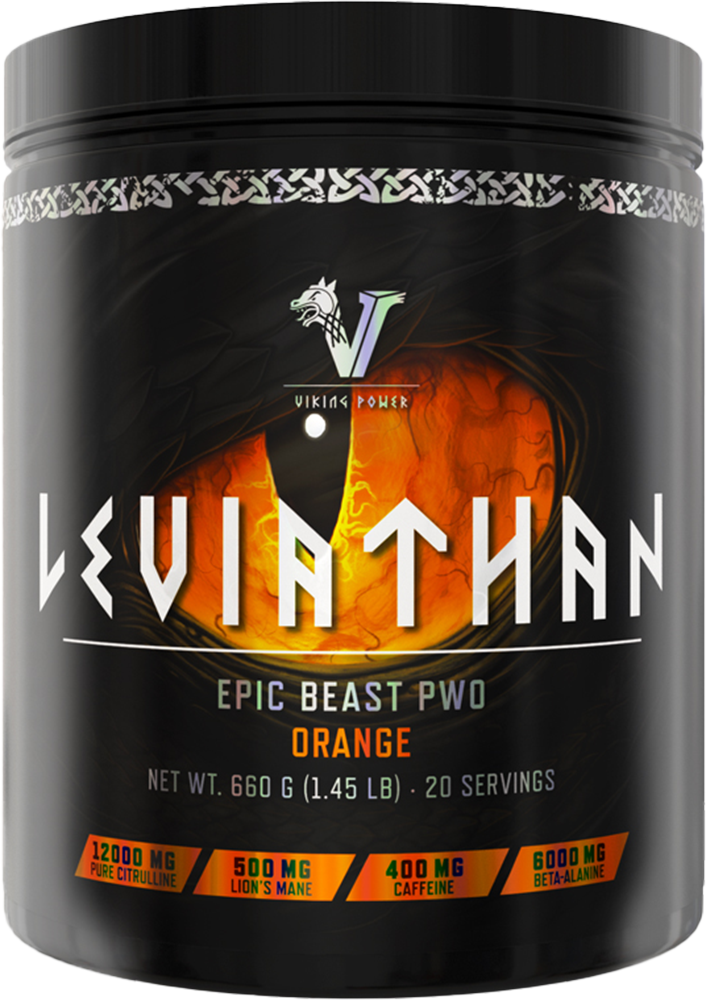 Viking Power Leviathan Hardcore PWO – Supspace NL